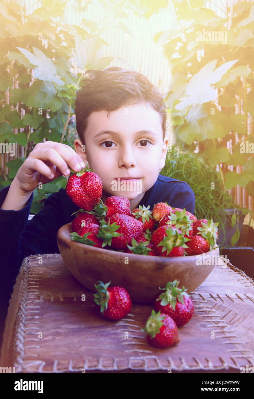 Cute boy child holding fresh picked strawberries.Cute boy child eating ...
