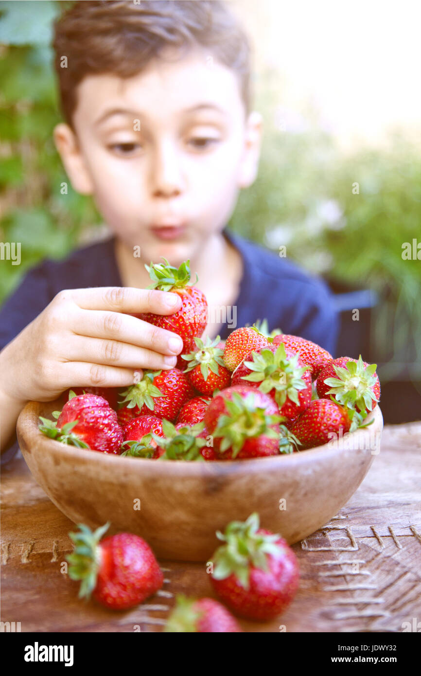 Cute boy child holding fresh picked strawberries.Cute boy child eating ...