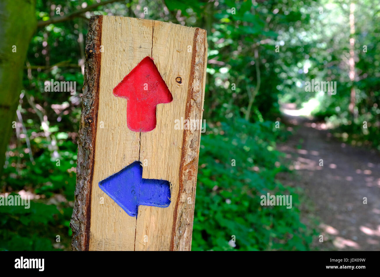direction signpost on woodland nature trail, holt country park, norfolk ...