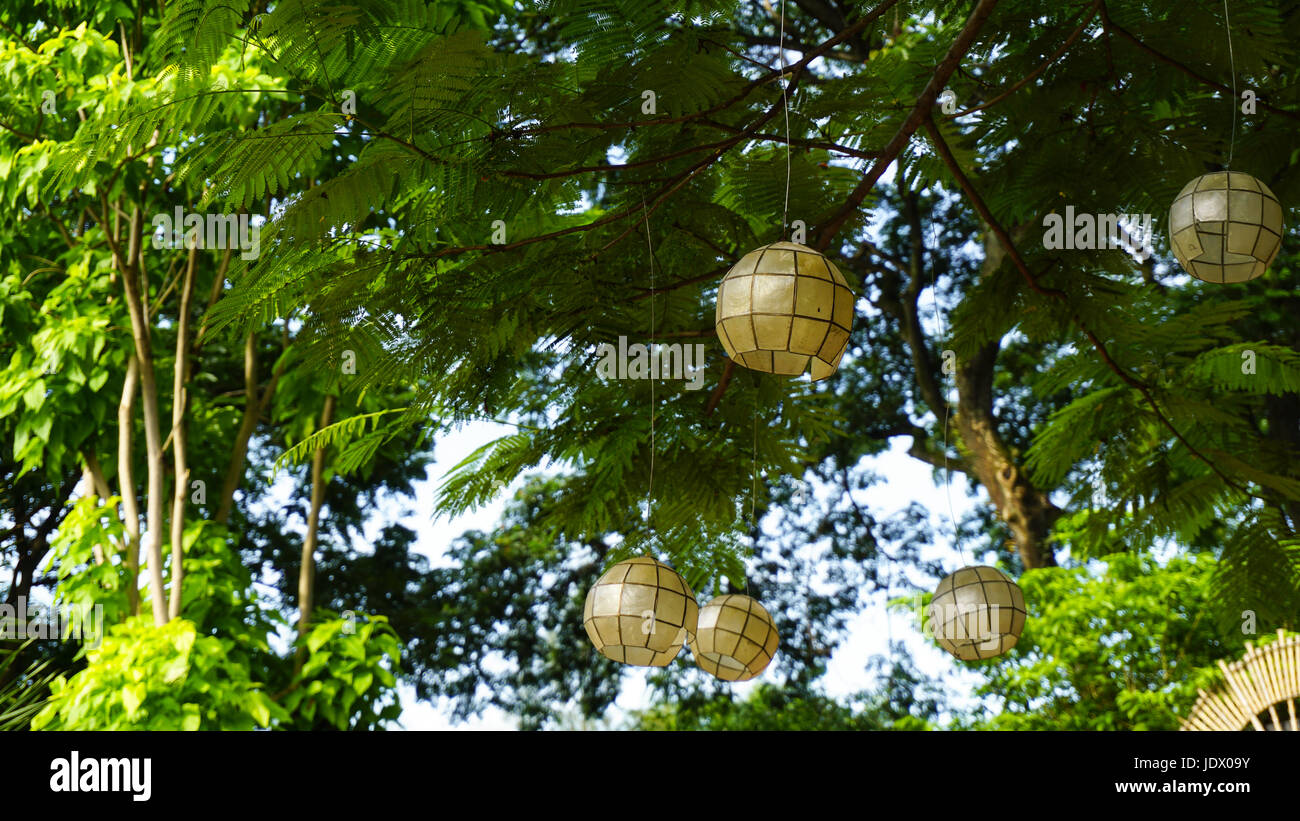 Circular shapes in nature hi-res stock photography and images - Alamy