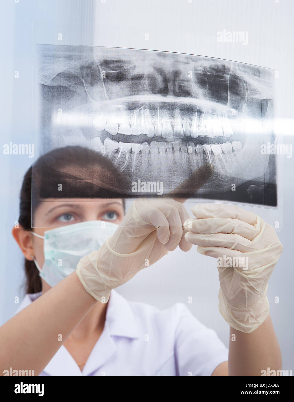 Young female stomatologist pointing at jaw Xray in clinic Stock Photo ...