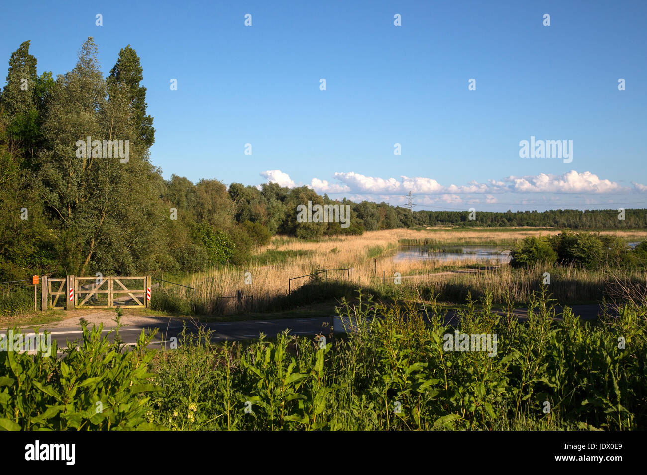 Dutch top wetland Oostvaarderplassen, Netherlands Stock Photo - Alamy