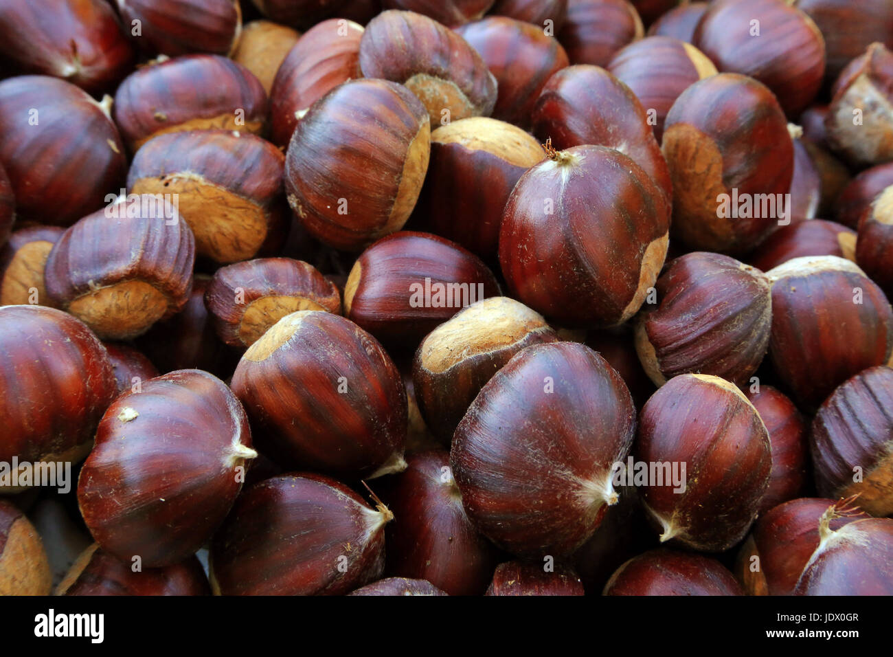 Chestnuts fruits hi-res stock photography and images - Alamy