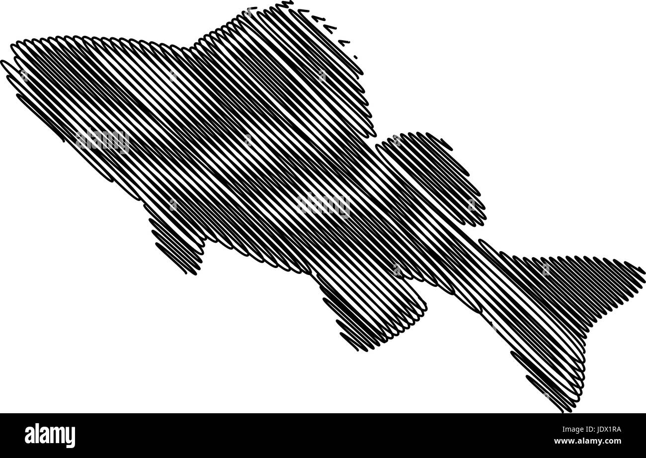 perch silhouette vector, (Perca fluviatilis Stock Vector Image & Art ...