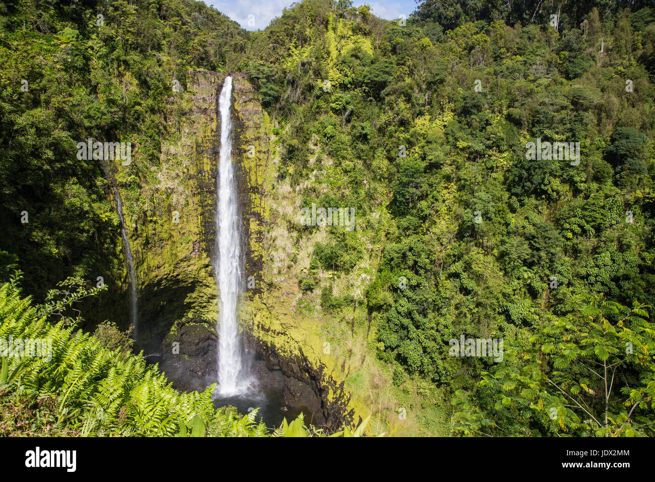 Akaka Falls, Hawaii, USA, color landscape photo of waterfall amidst a ...