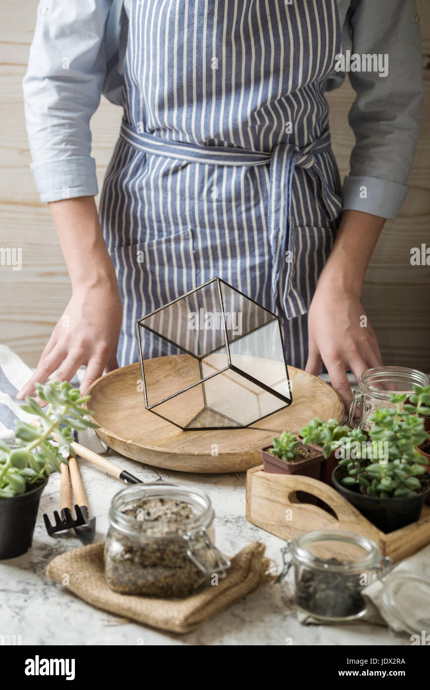 Planting succulents hi-res stock photography and images - Alamy