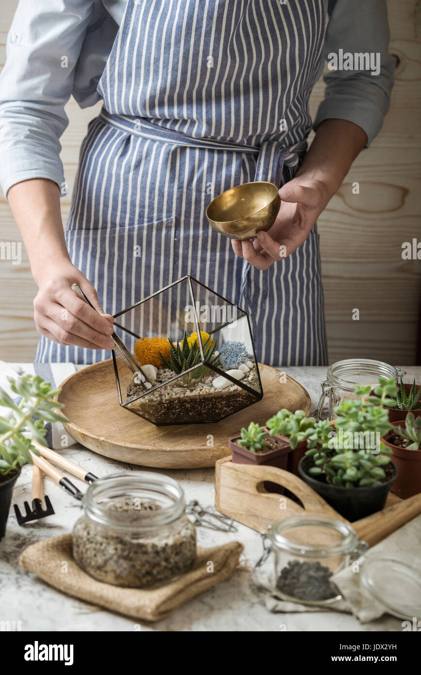 Planting succulents into florarium step by step. Story in bright colors ...