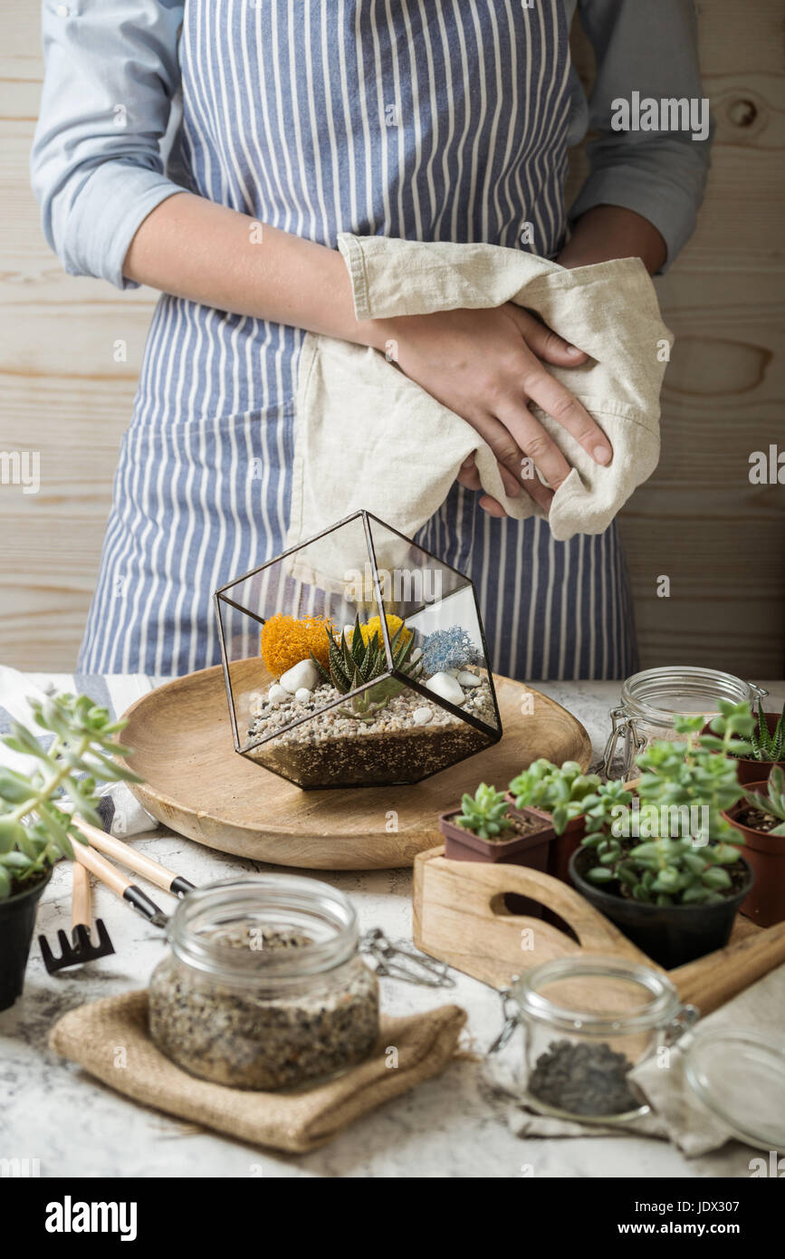 Planting succulents into florarium step by step. Story in bright colors ...