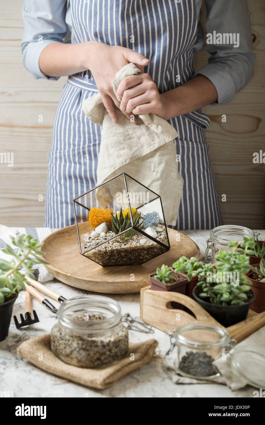 Planting succulents into florarium step by step. Story in bright colors ...