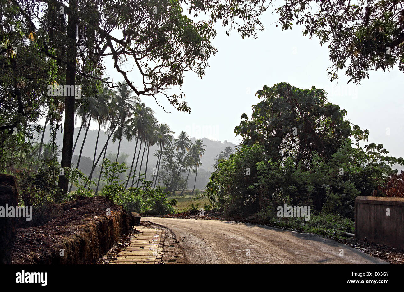 Goa village hi-res stock photography and images - Alamy