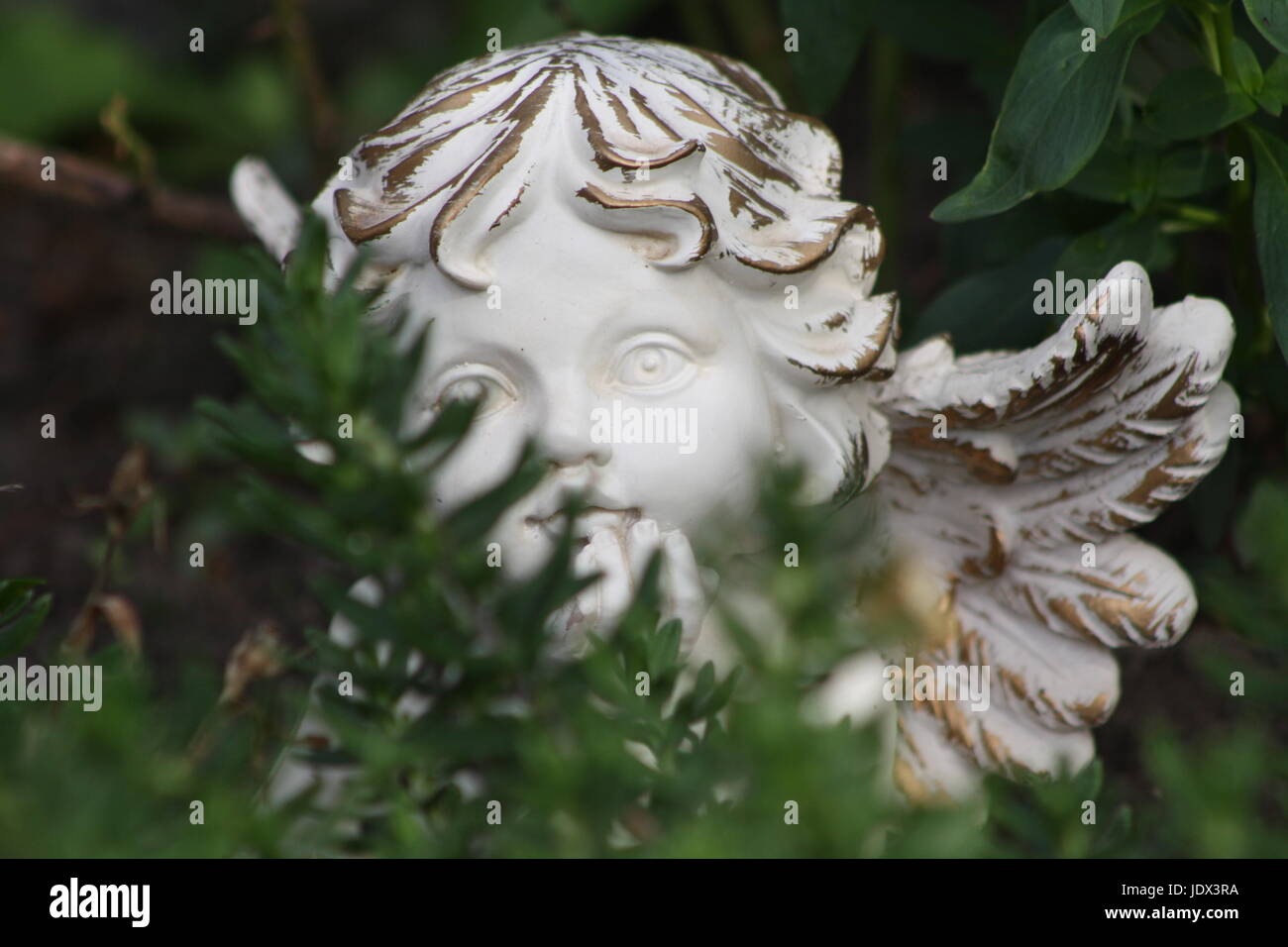 Little angel with flowers hi-res stock photography and images - Alamy