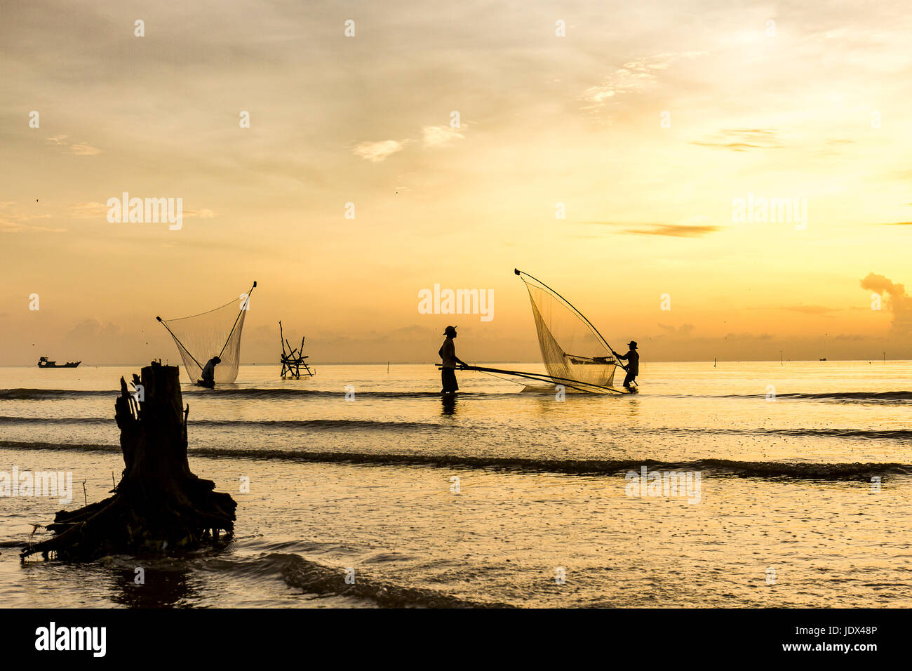 Sea clam digging fishermen golden sunrise Tan Thanh beach Go Cong Tien ...