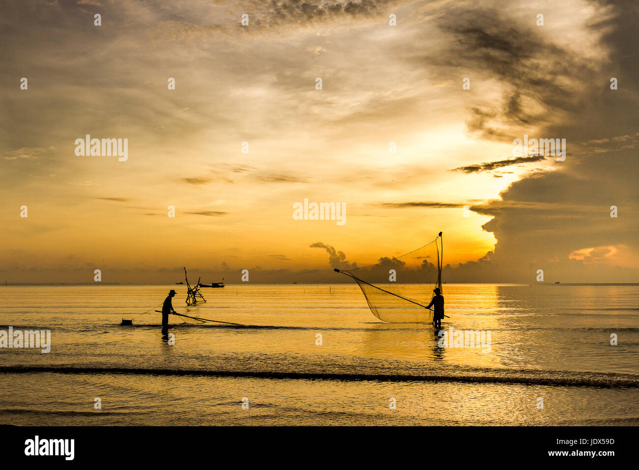 Sea clam digging fishermen golden sunrise Tan Thanh beach Go Cong Tien ...