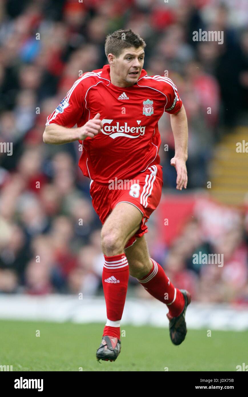 STEVEN GERRARD LIVERPOOL FC ANFIELD LIVERPOOL ENGLAND 23 February 2008 ...