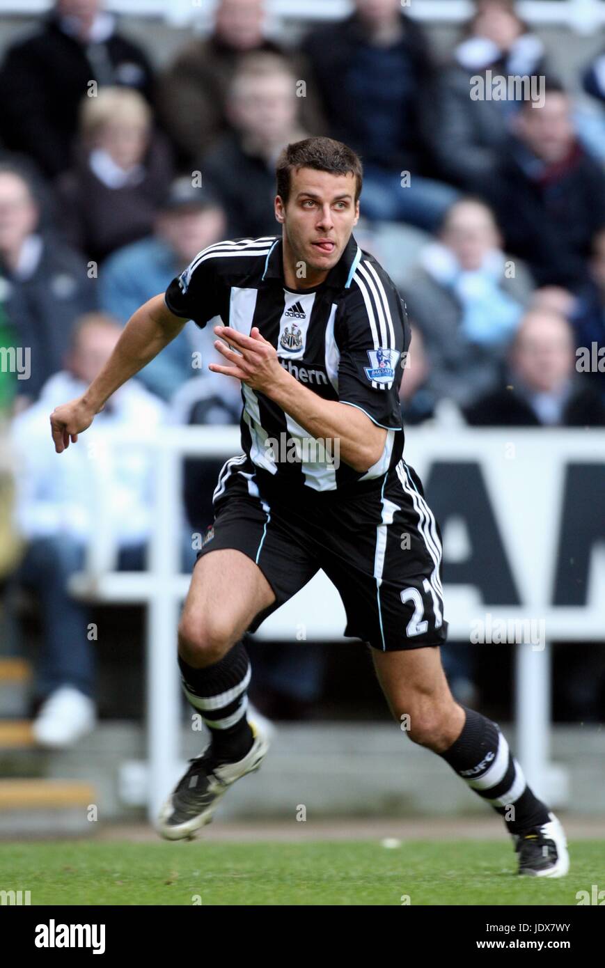 STEVEN TAYLOR NEWCASTLE UNITED FC ST.JAMES PARK NEWCASTLE ENGLAND 01 ...