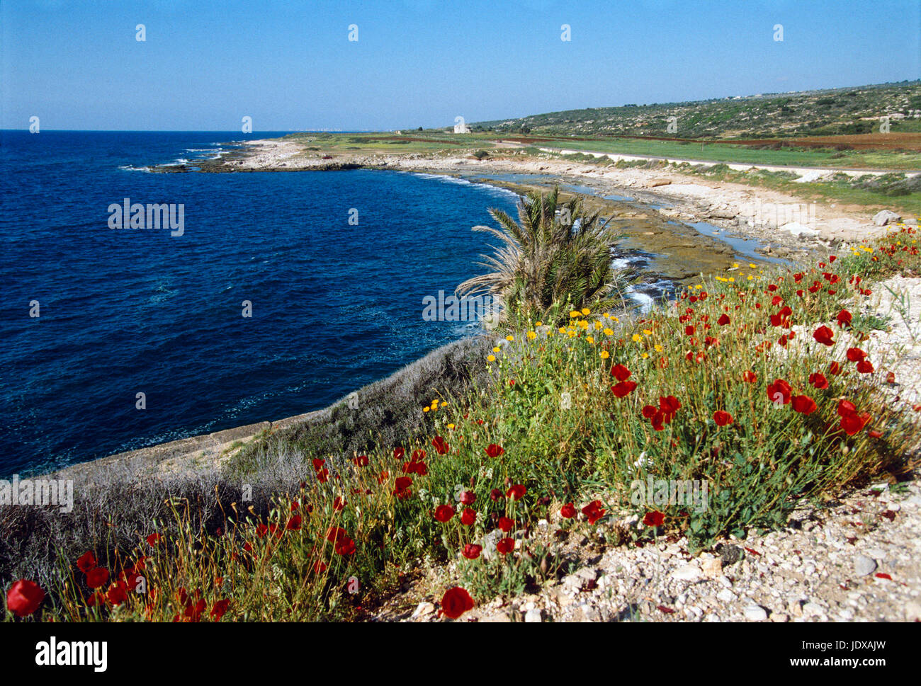 Lebanon coast hi-res stock photography and images - Alamy