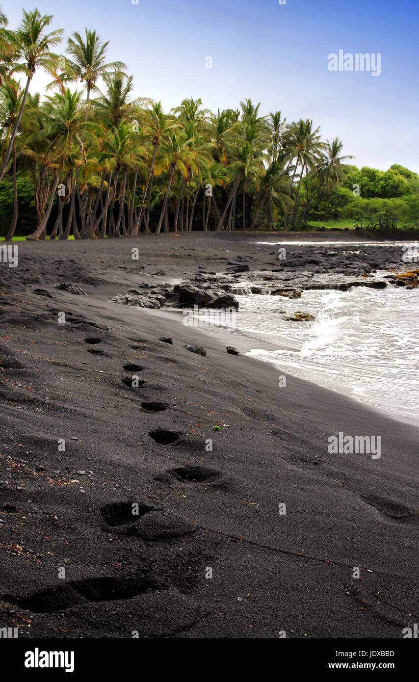 Punaluu blacksand beach hi-res stock photography and images - Alamy