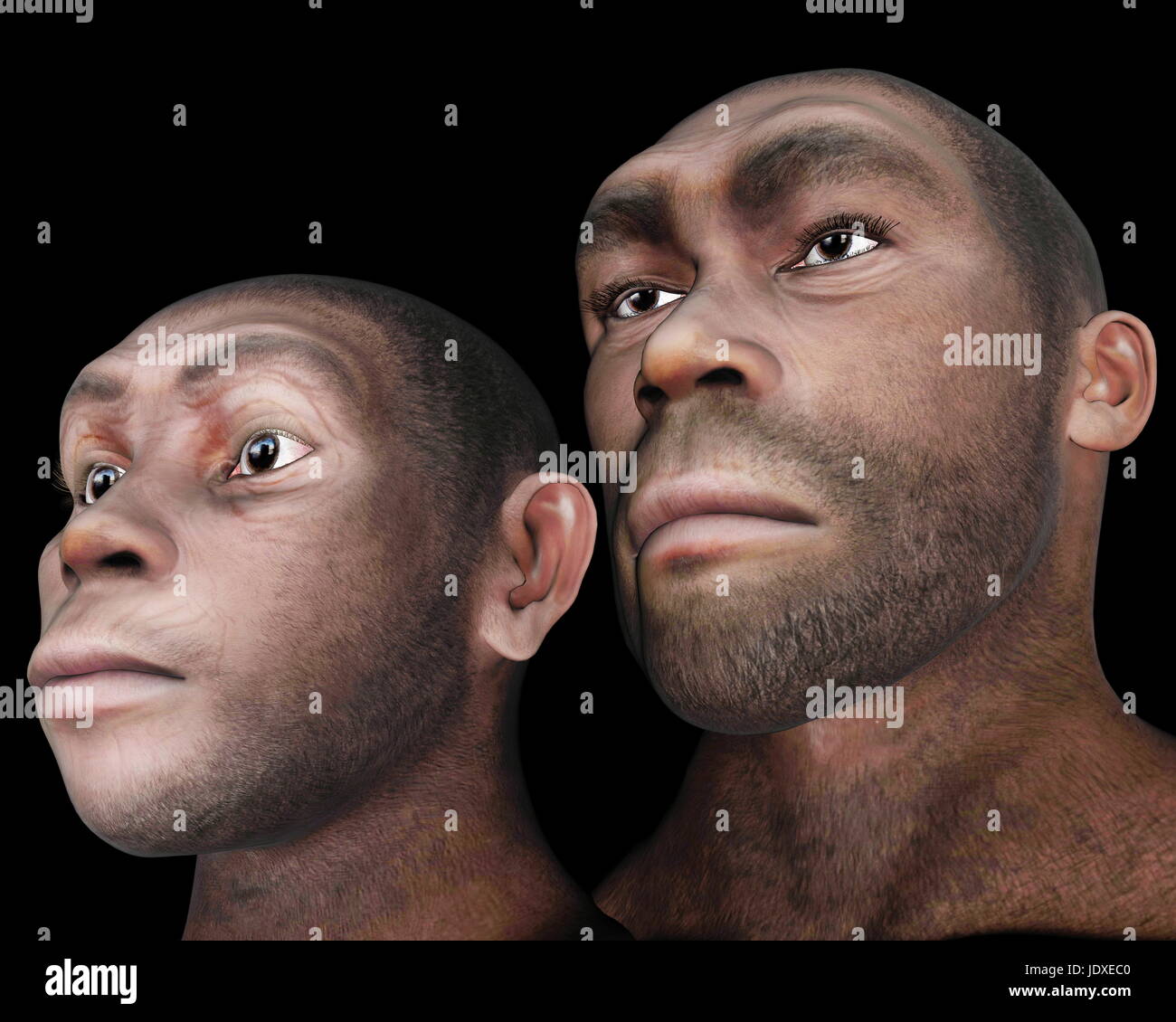 Neanderthal portrait hi-res stock photography and images - Alamy