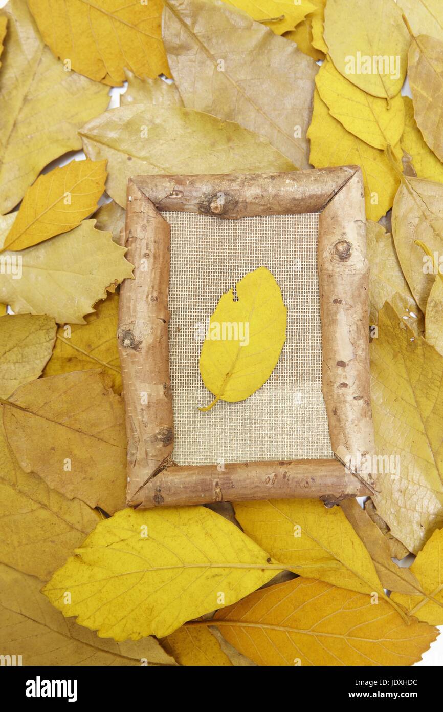 Cut out frame hi-res stock photography and images - Alamy