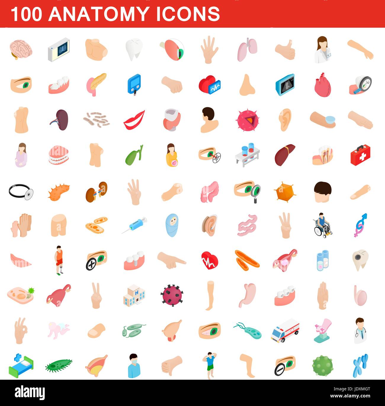 Anatomy of human buttocks hi-res stock photography and images - Alamy