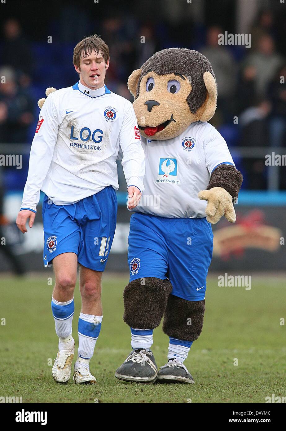 Hangus monkey hi-res stock photography and images - Alamy