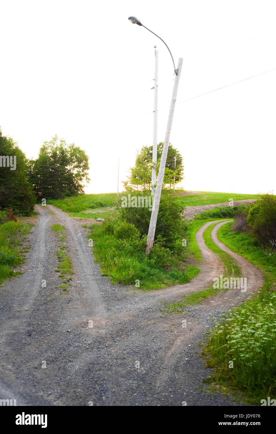 Conceptual image of a path that splits in two and a choice must be made ...