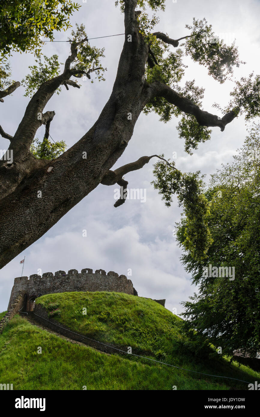 Totnes Castle High Resolution Stock Photography and Images - Alamy