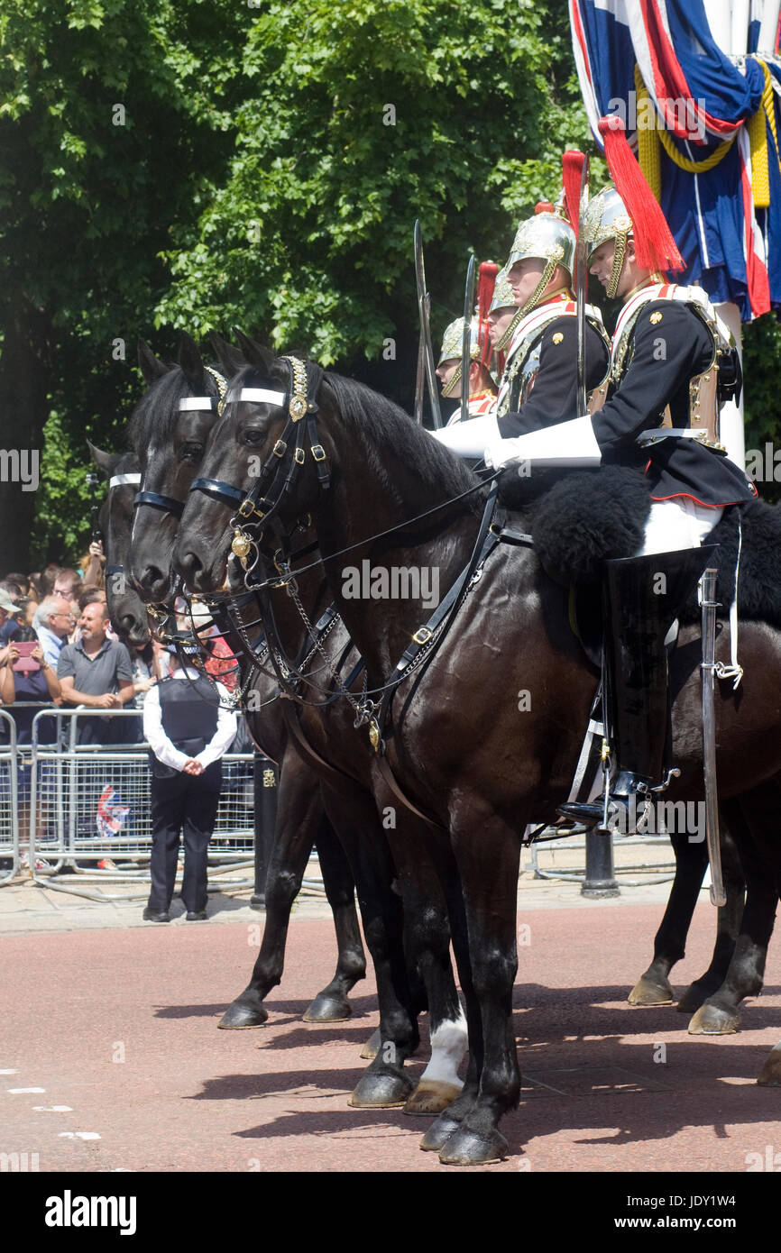 Royal Dragoons High Resolution Stock Photography and Images - Alamy