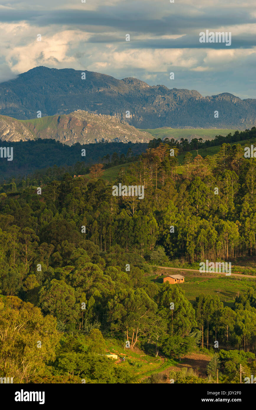 Chimanimani town seen in front of the Chimanimani mountains, Zimbabwe ...
