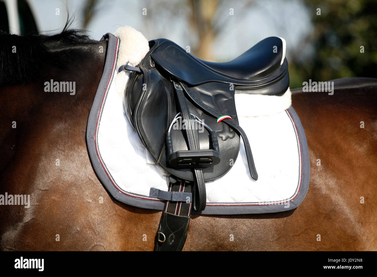 Back view horse jumping hi-res stock photography and images - Alamy