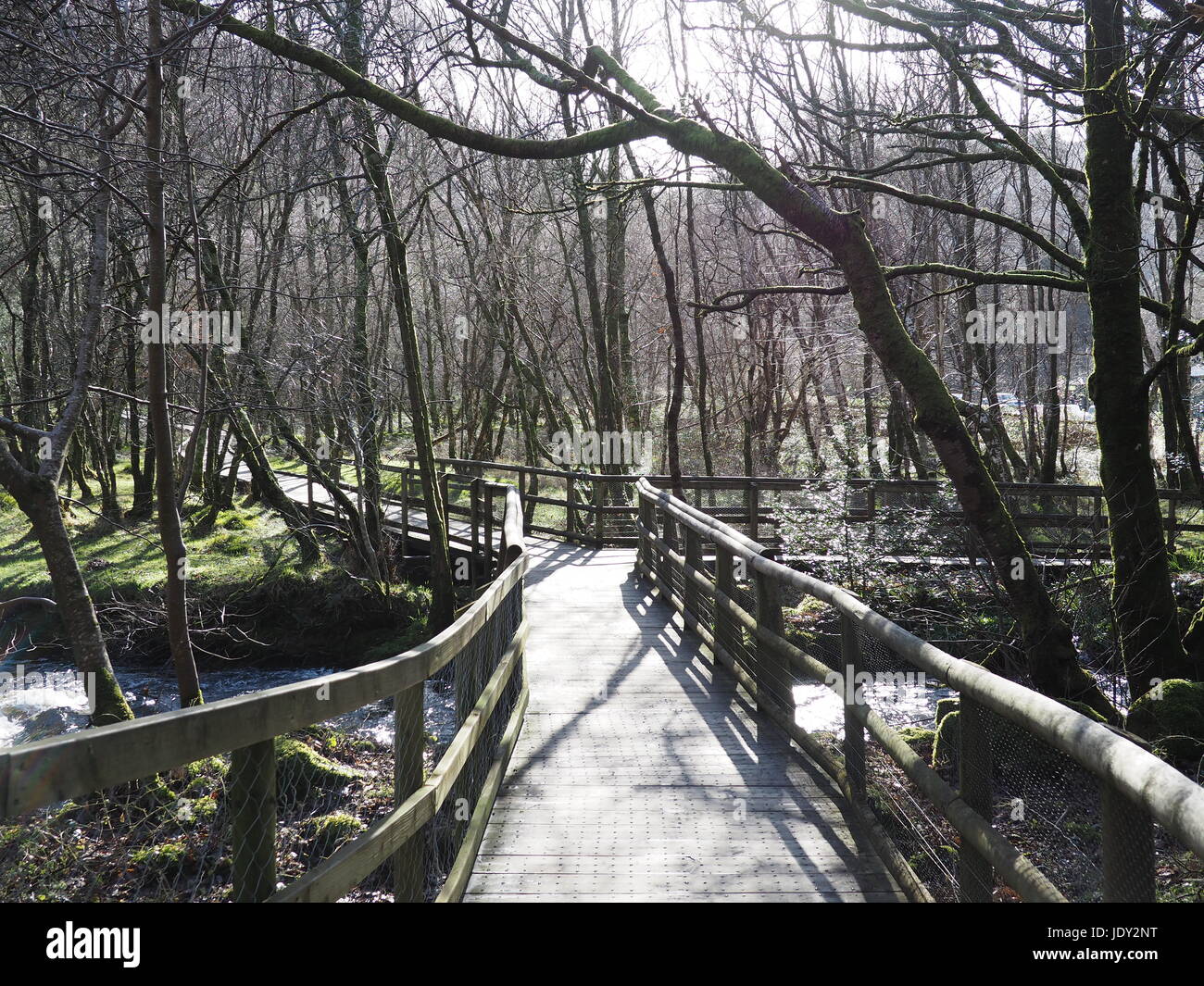 Tree Shaded Walking Path Stock Photo - Alamy