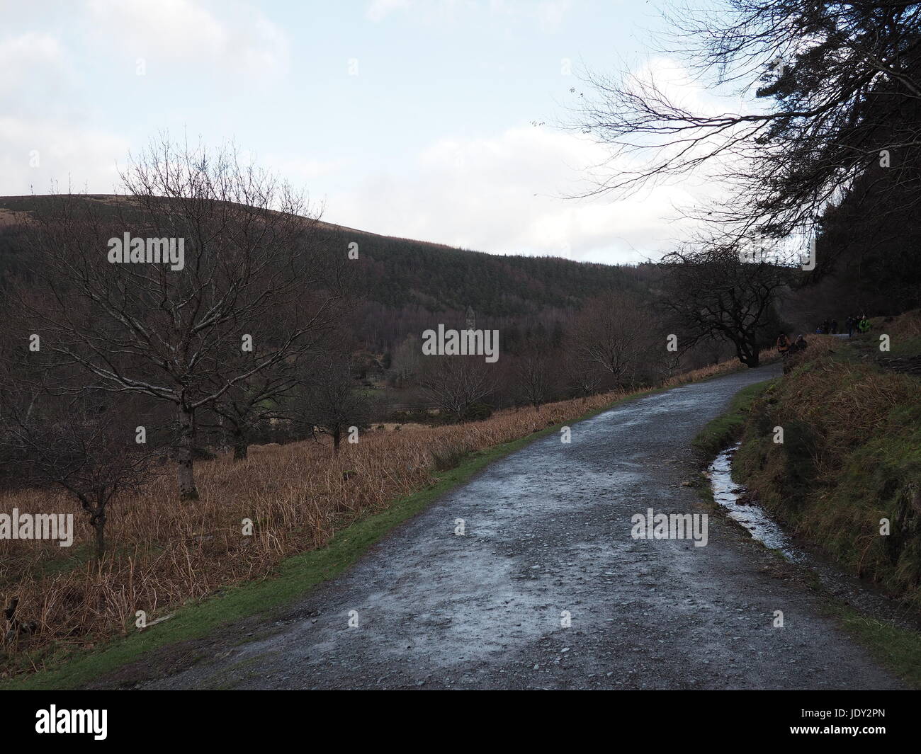 Wicklow walking trail hi-res stock photography and images - Alamy