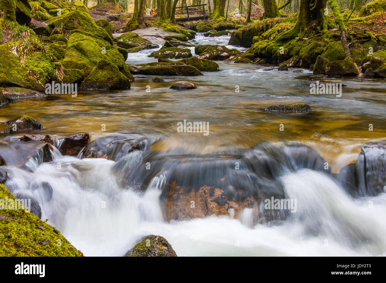 Bodmin moor landscape trees hi-res stock photography and images - Alamy