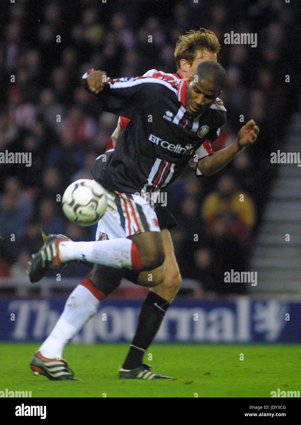 Jody hamilton hi-res stock photography and images - Alamy