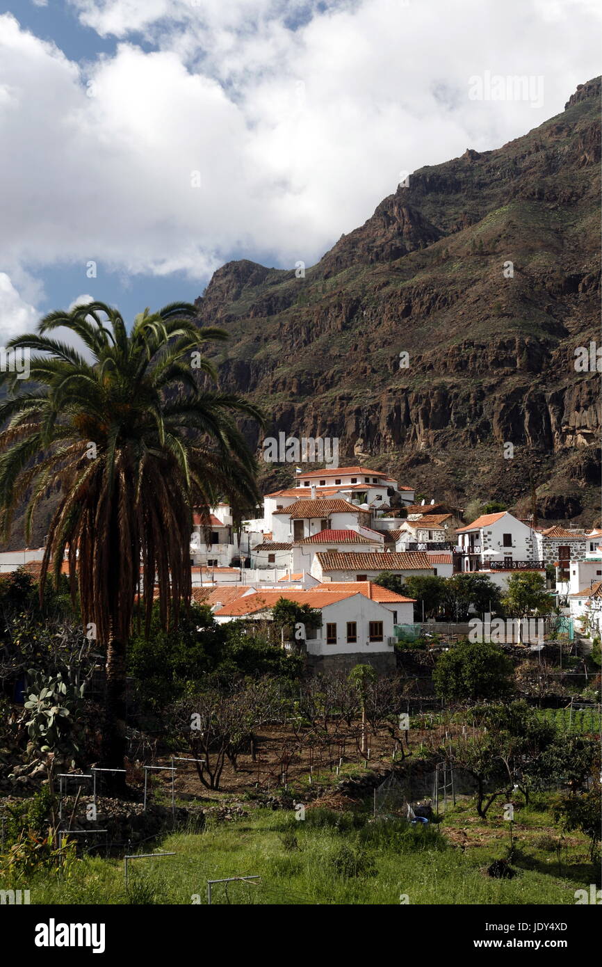 the mountain Village of Fataga in the centre of the Canary Island of ...