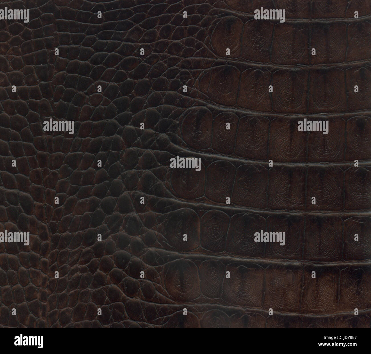 nice black and brown crocodile leather texture Stock Photo - Alamy