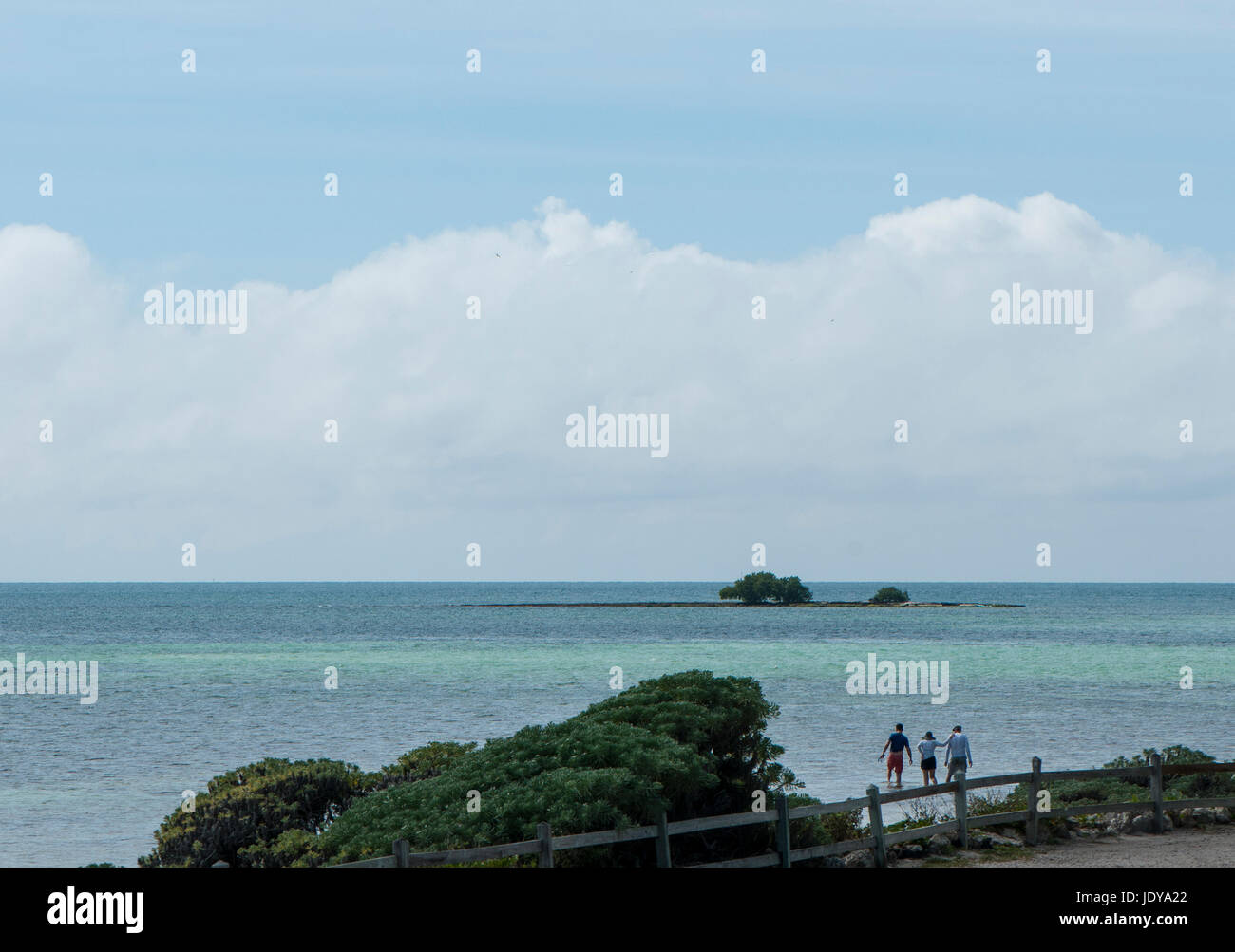 Unidentifiable tourists on Islamorada near 7 mile bridge in the Florida ...
