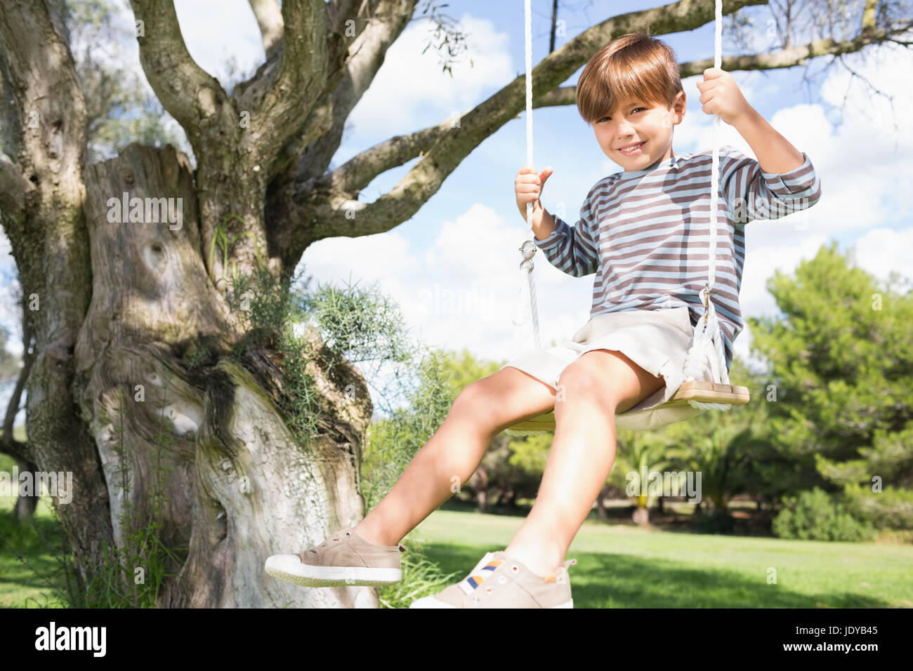 Cute boy on swing hanging from tree in the park on a sunny day Stock ...