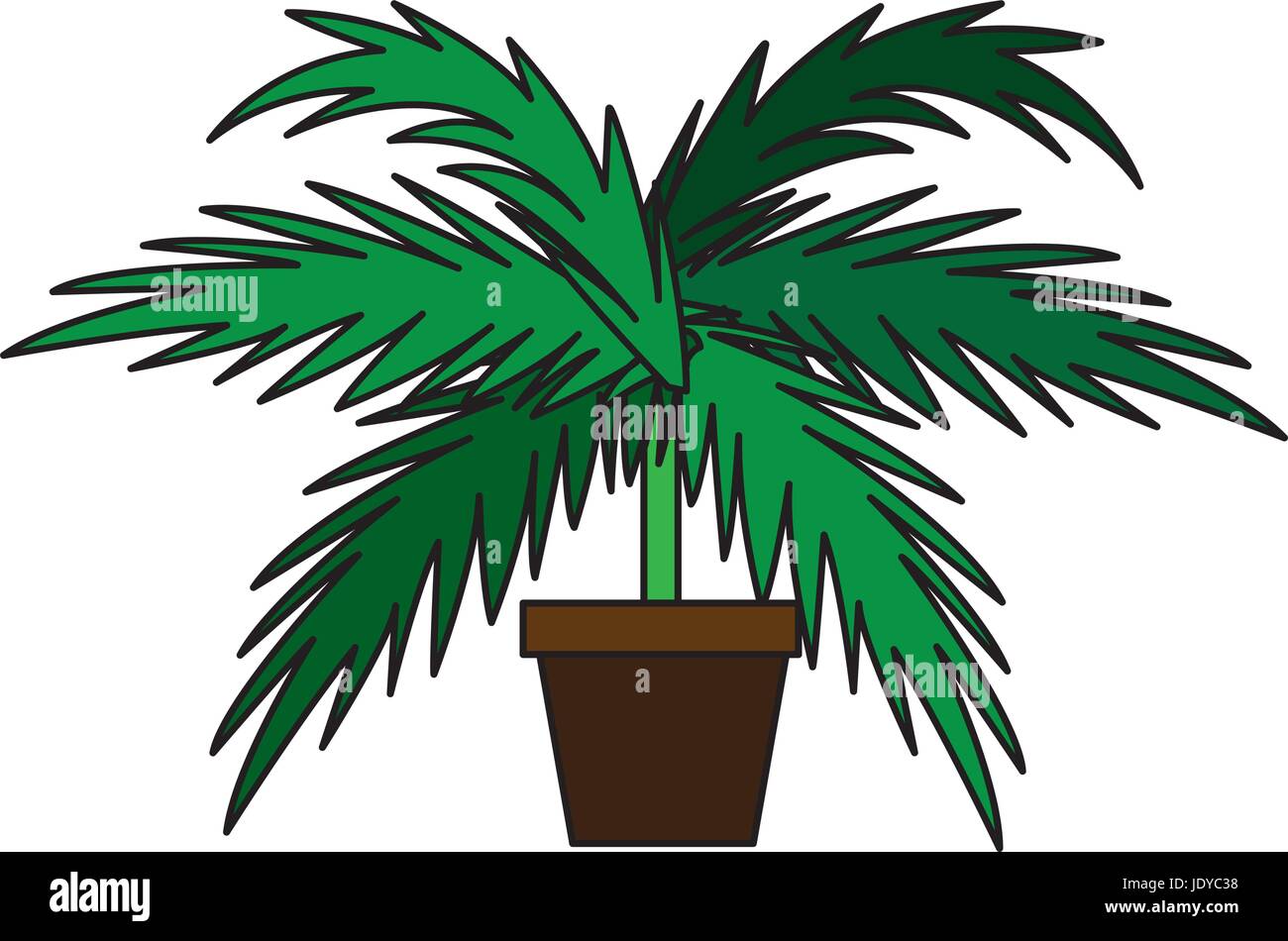 potted palm tree plant natural decoration interior Stock Vector Image ...