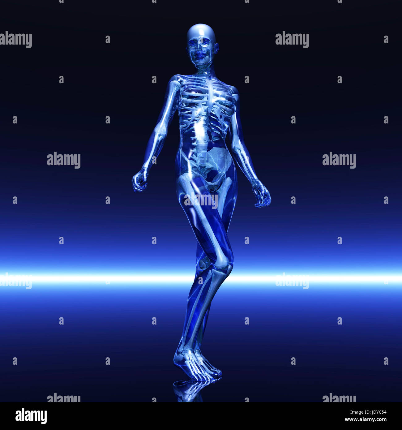 Human anatomical structure hi-res stock photography and images - Alamy