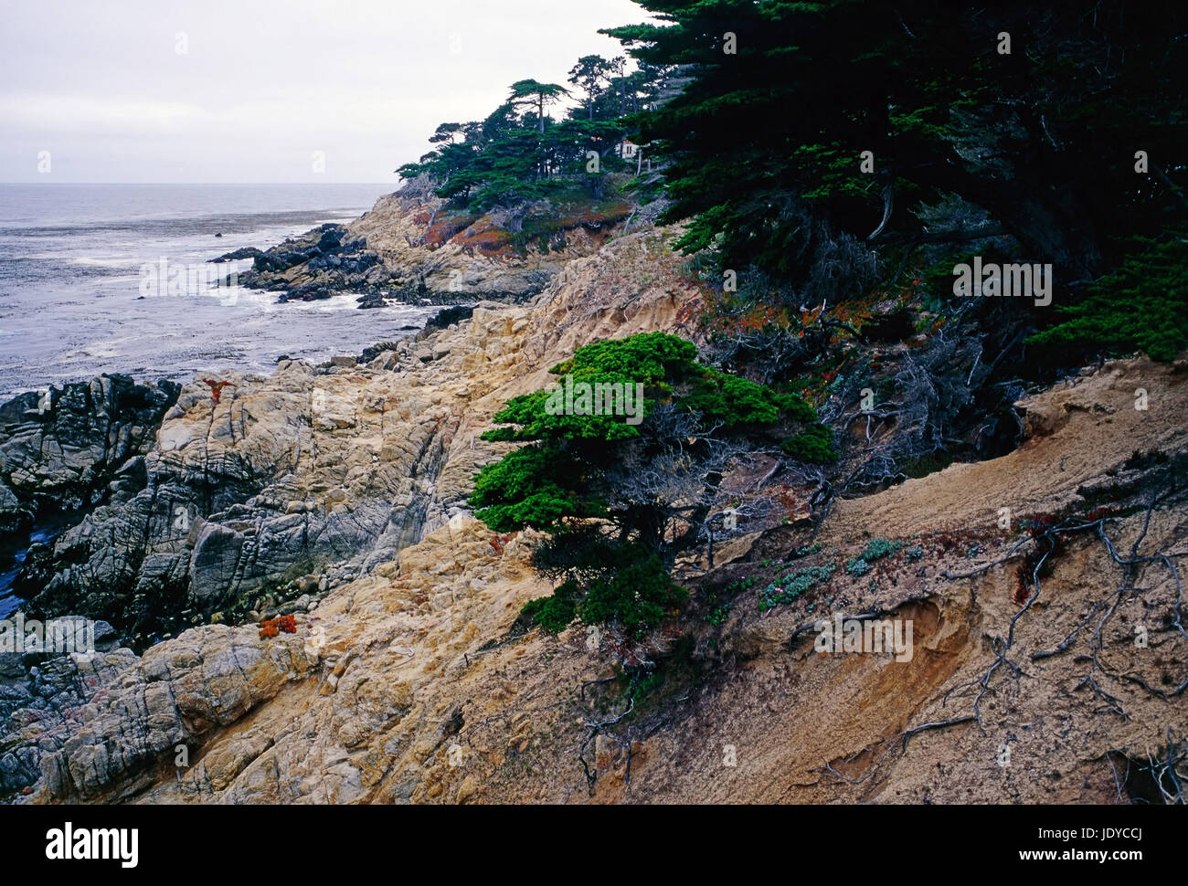 Point Lobos on Pacific Coast of California Stock Photo - Alamy