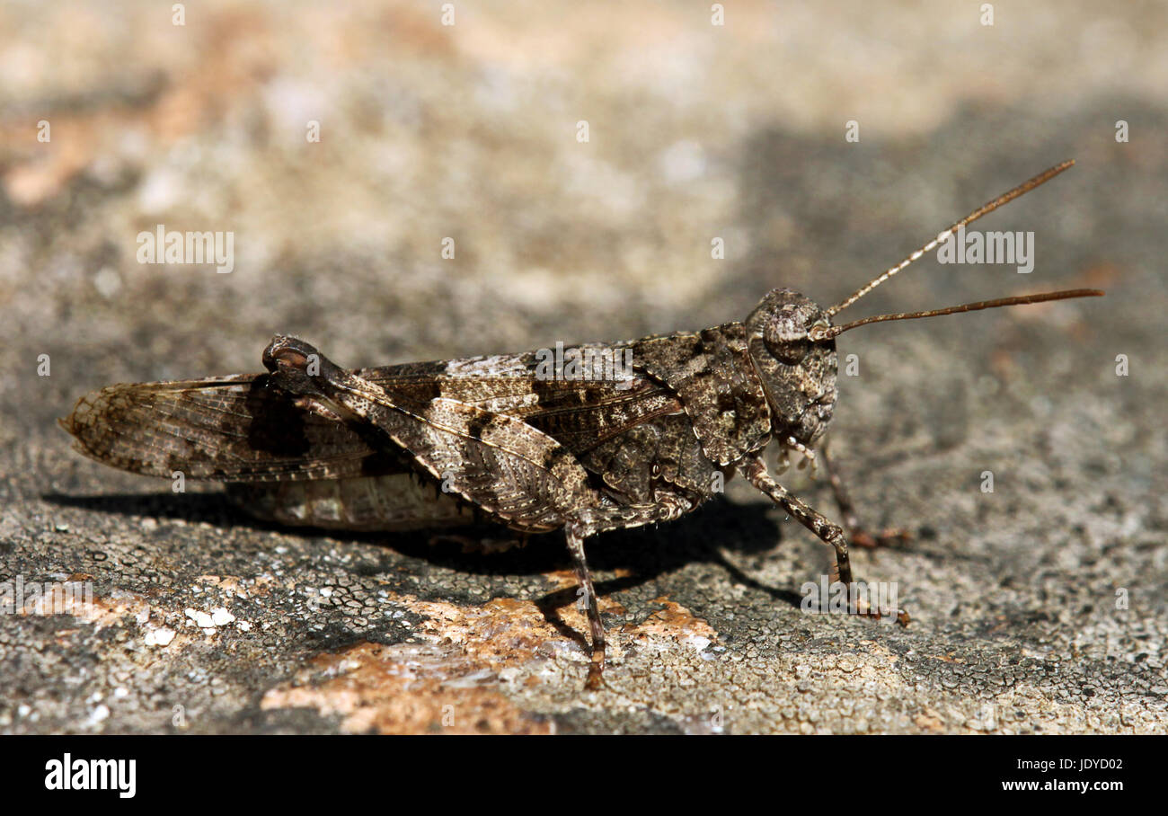 landscape format inconspicuous Stock Photo - Alamy