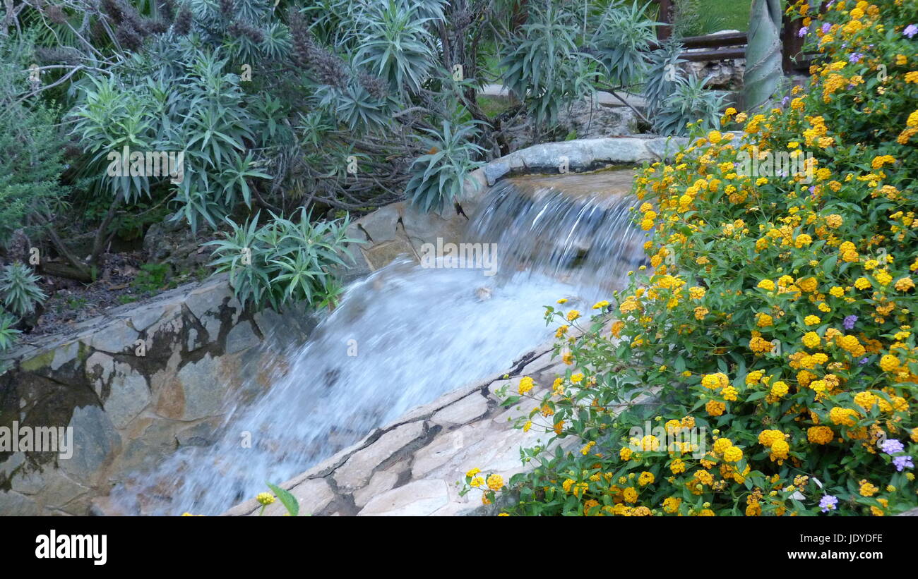 watercourse at the botanical garden Stock Photo - Alamy