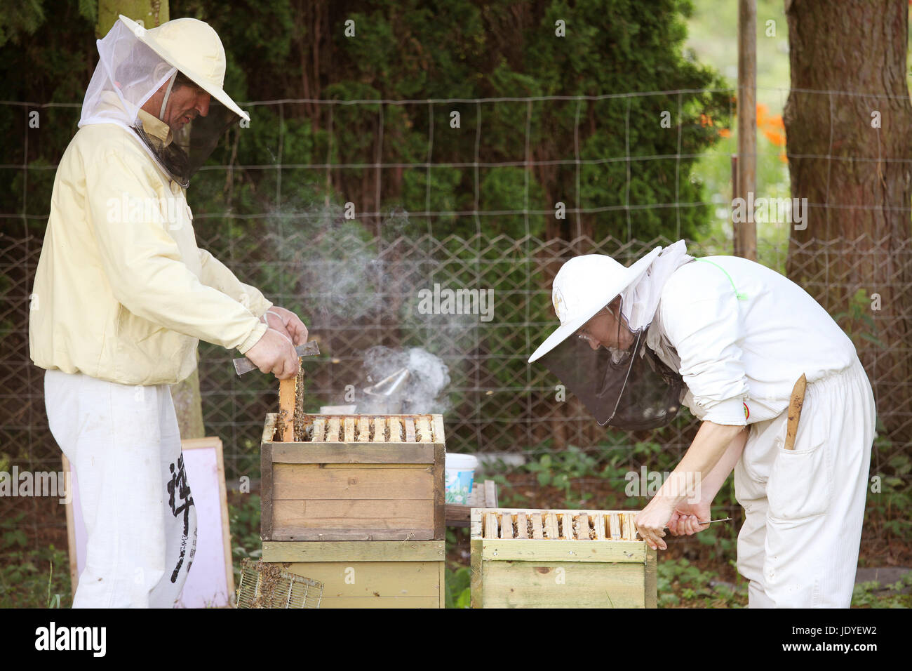 Beekeepers tools hi-res stock photography and images - Alamy