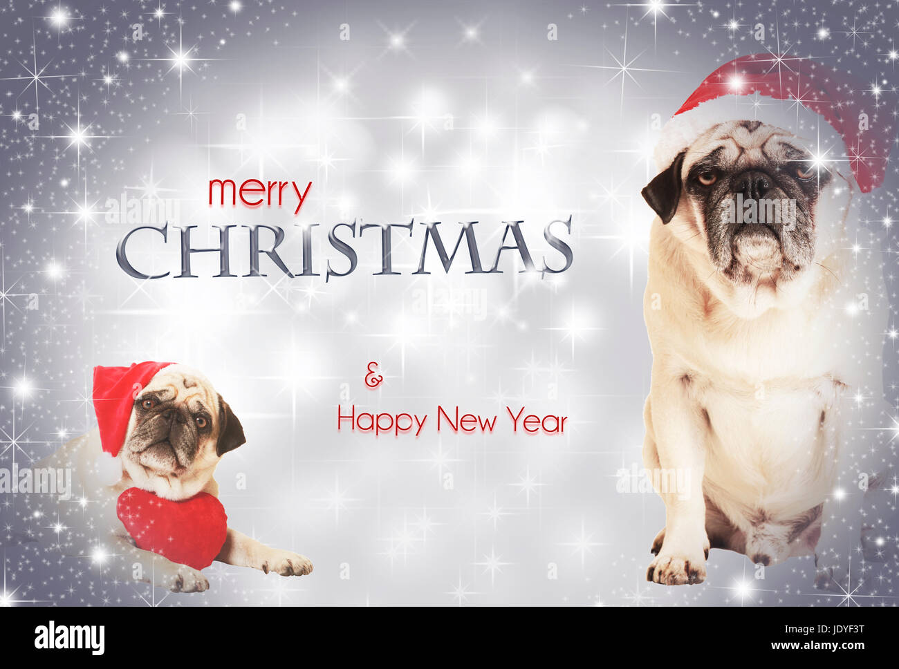 two dogs dressed as Santa Claus before glittering background, with text ...