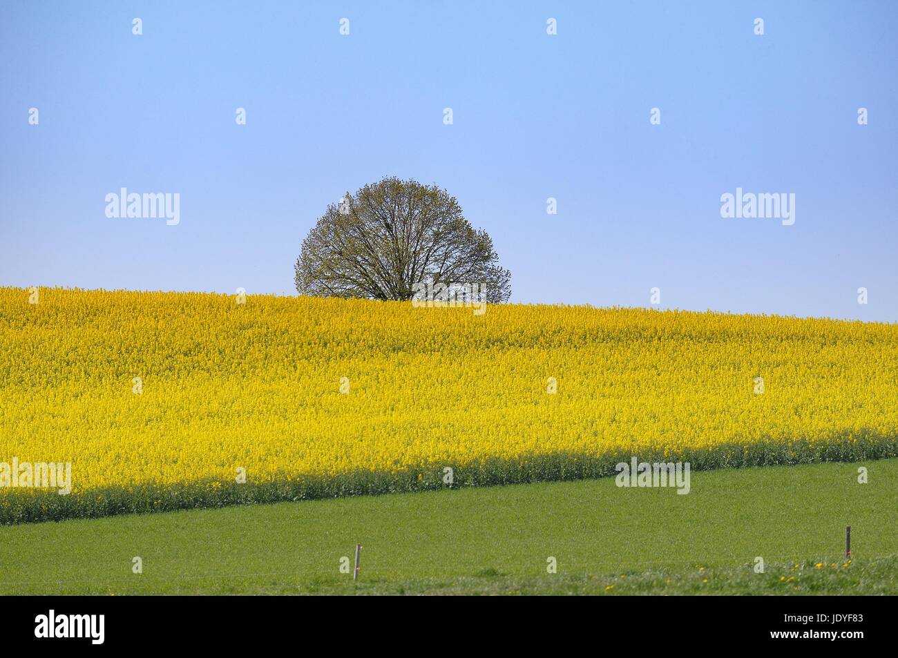 Inverted sunrise hi-res stock photography and images - Alamy