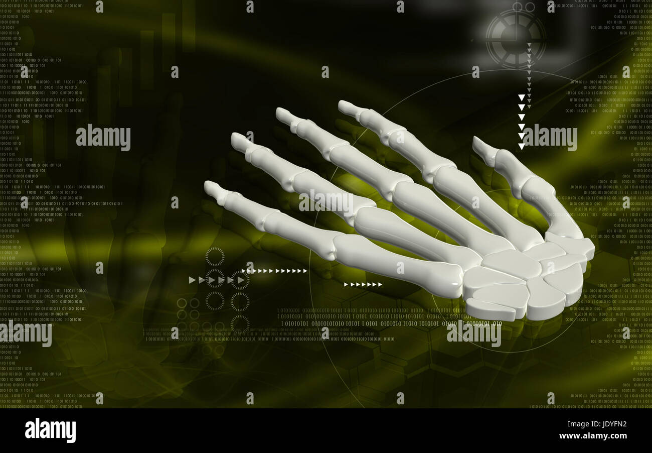 Digital medical illustration human wrist hi-res stock photography and ...