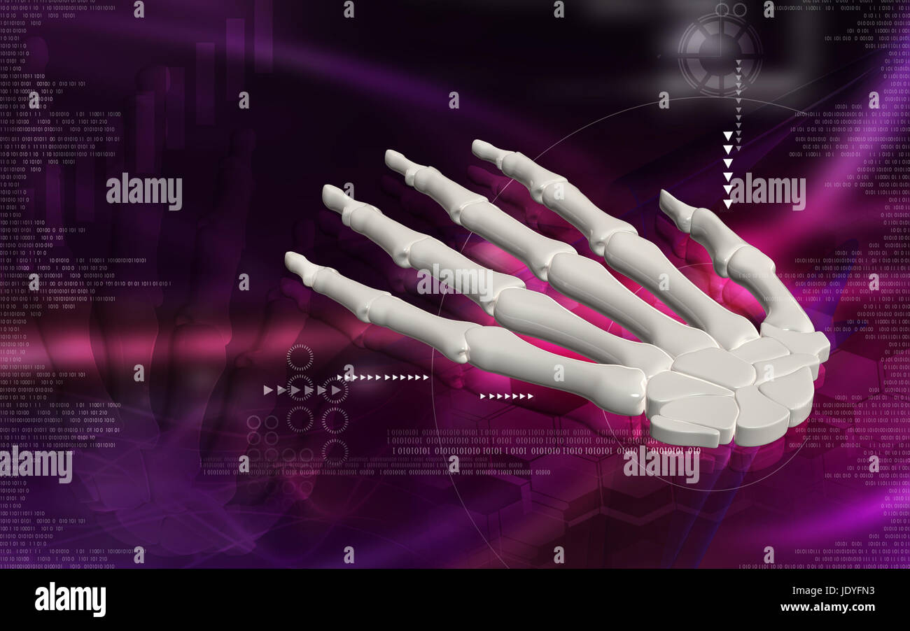 Digital medical illustration human wrist hi-res stock photography and ...