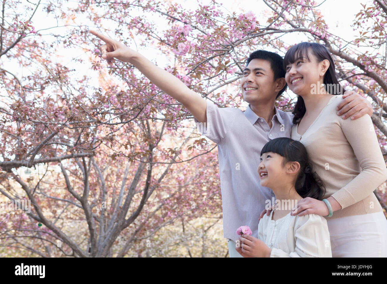 Father daughter pointing tree hi-res stock photography and images - Alamy