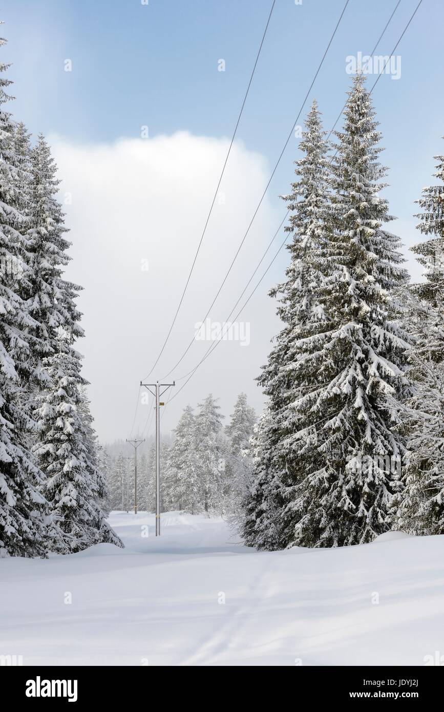 Power lines in winter landscape Stock Photo - Alamy